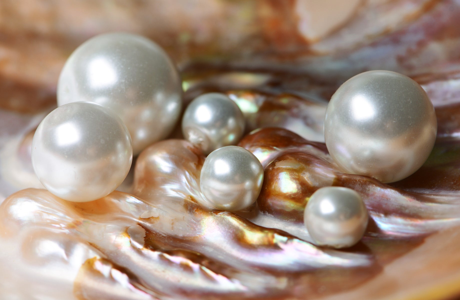 June's Birthstones – Shimell and Madden